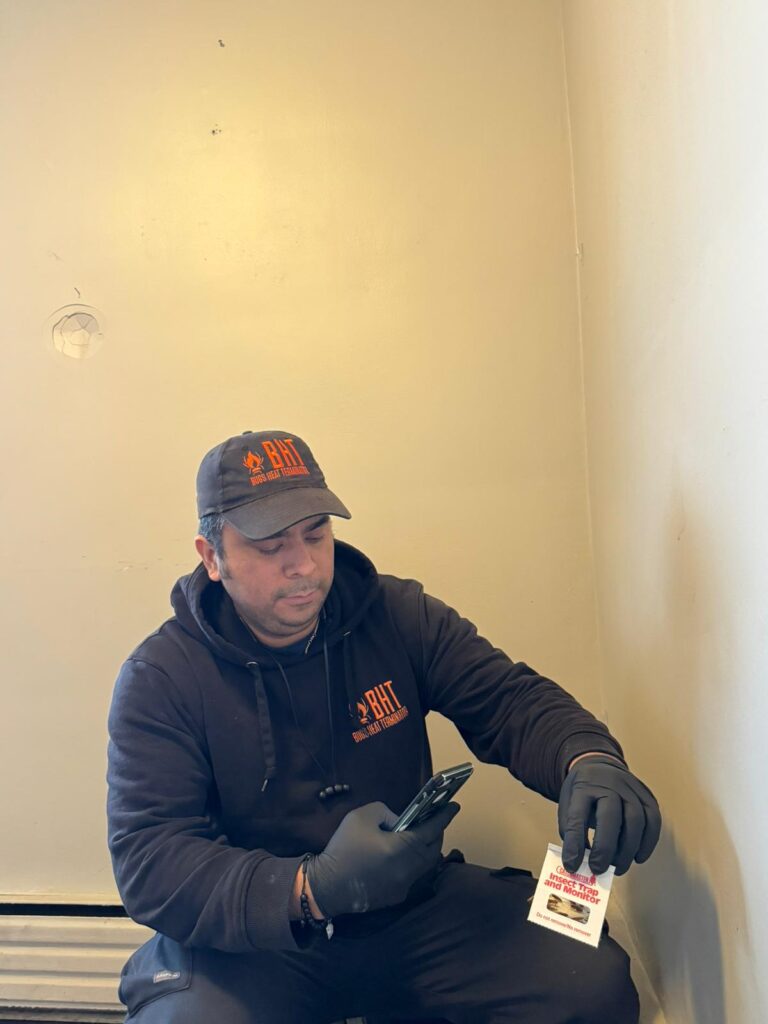 Pest Control Toronto - Pest Control Pro