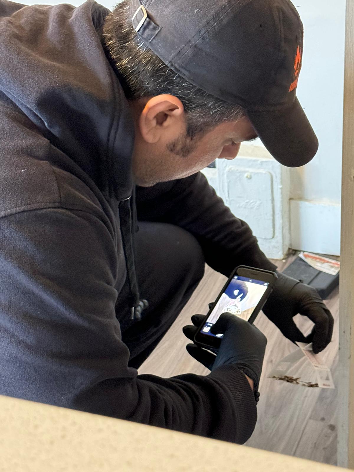 Integrated Pest Management - Pest Control Pro