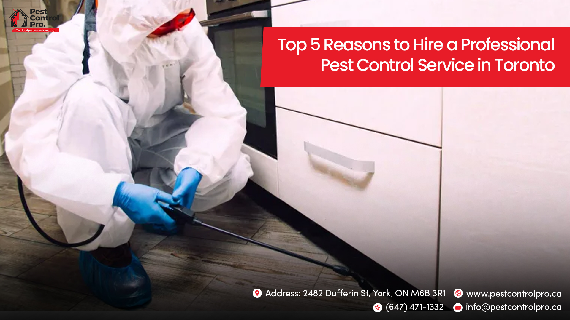 Top 5 Reasons to Hire a Professional Pest Control Service Toronto ...