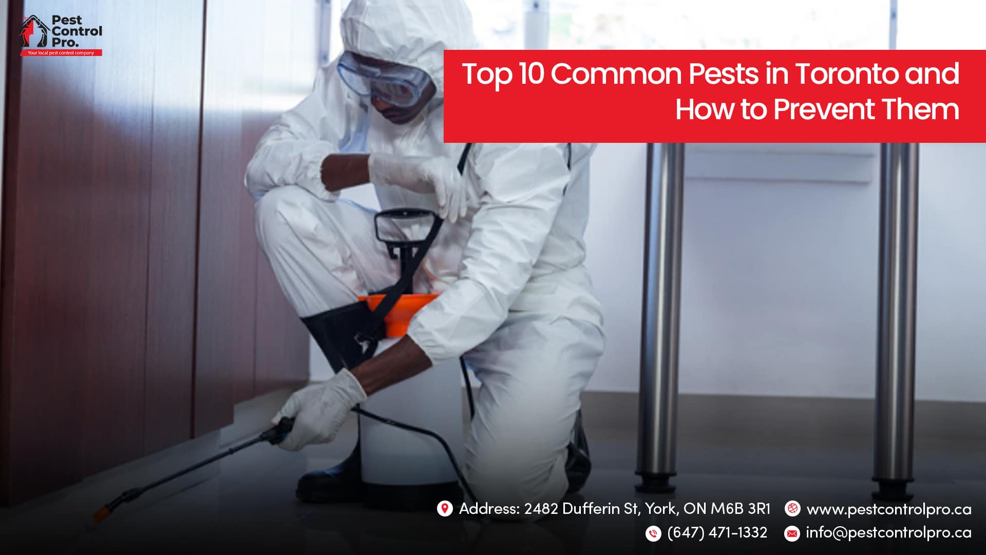 Top 10 Common Pests Toronto and How to Prevent Them - Pest control pro